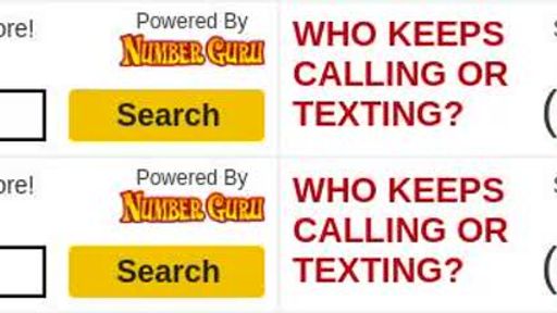 Explore New NumberGuru Ads 2021 - Bigdatr