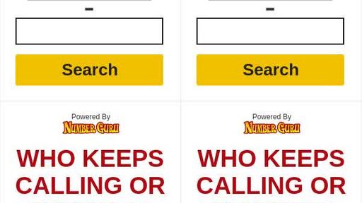 Explore New NumberGuru Ads 2021 - Bigdatr